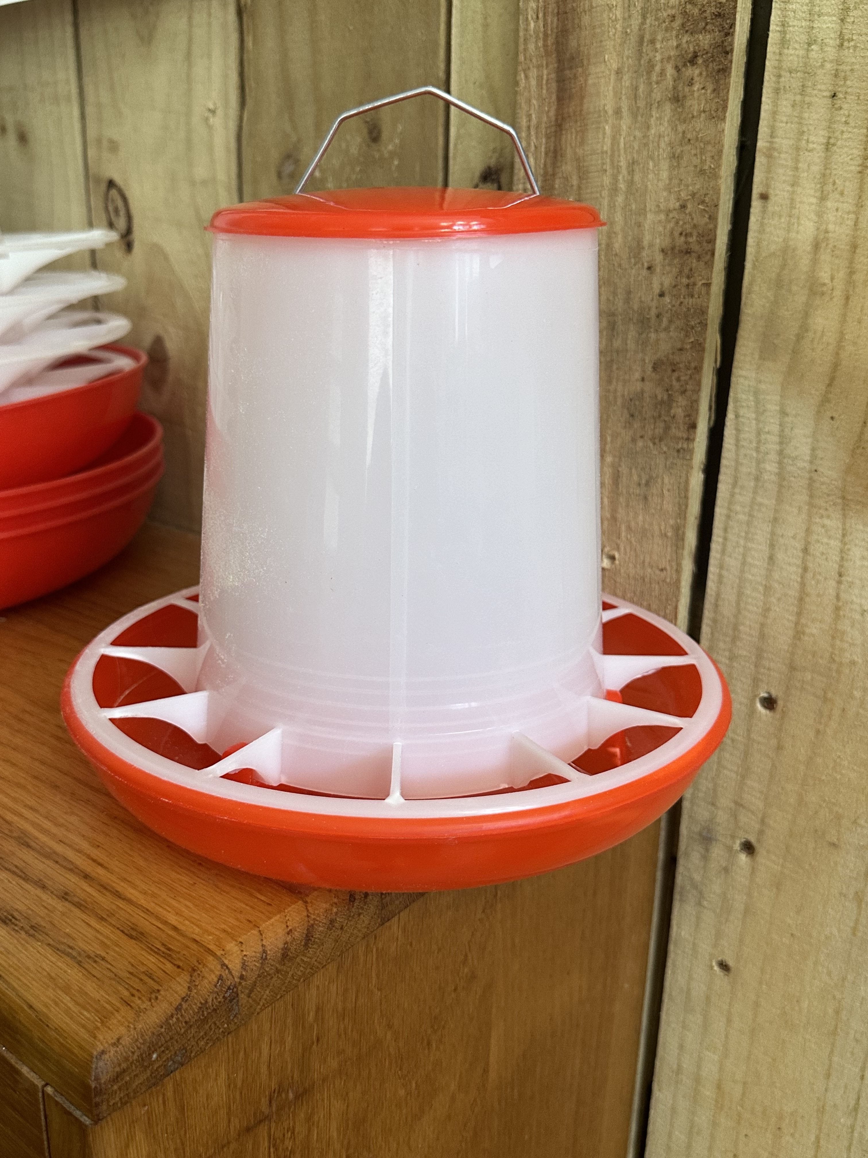 4 pound feeder chicken, Chicks, pigeon Quail – AAA CHICKENS AND MORE